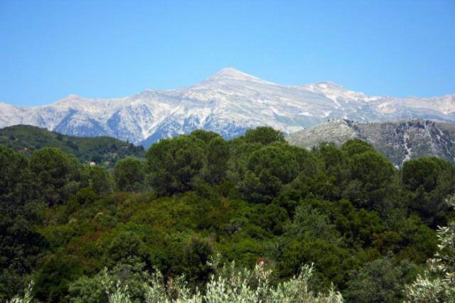 Περιμένοντας το Λιαντίνη | θοδωρής γεωργακόπουλος